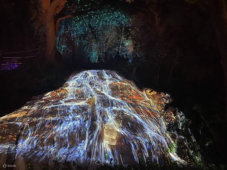 [POHANG/ULSAN] Chuyến tham quan trong ngày đến các địa điểm chụp ảnh trên Instagram từ Busan ...